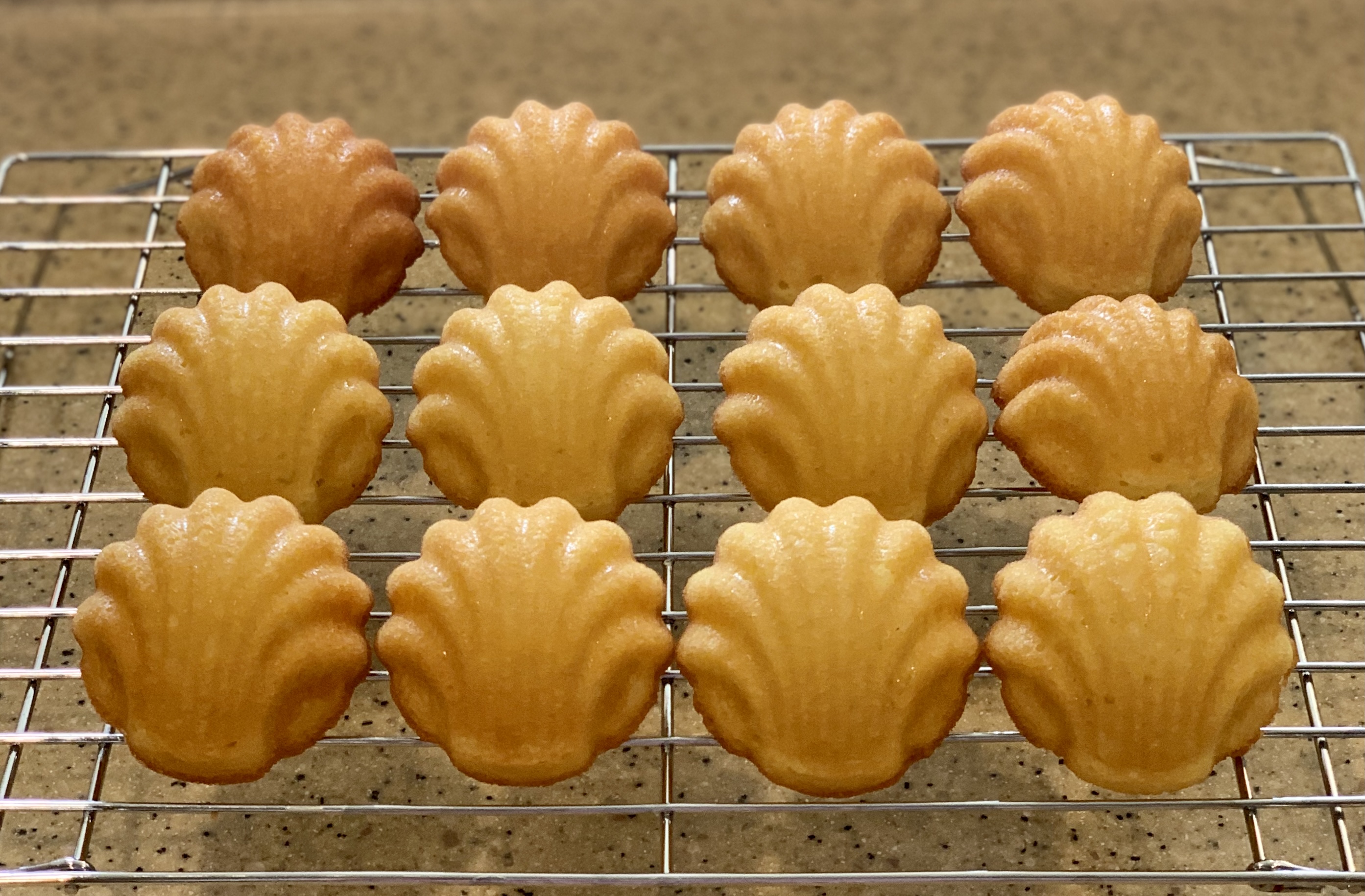 Gallery | Take Two Bakery